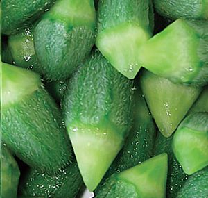 IQF Frozen Okra / Givrex